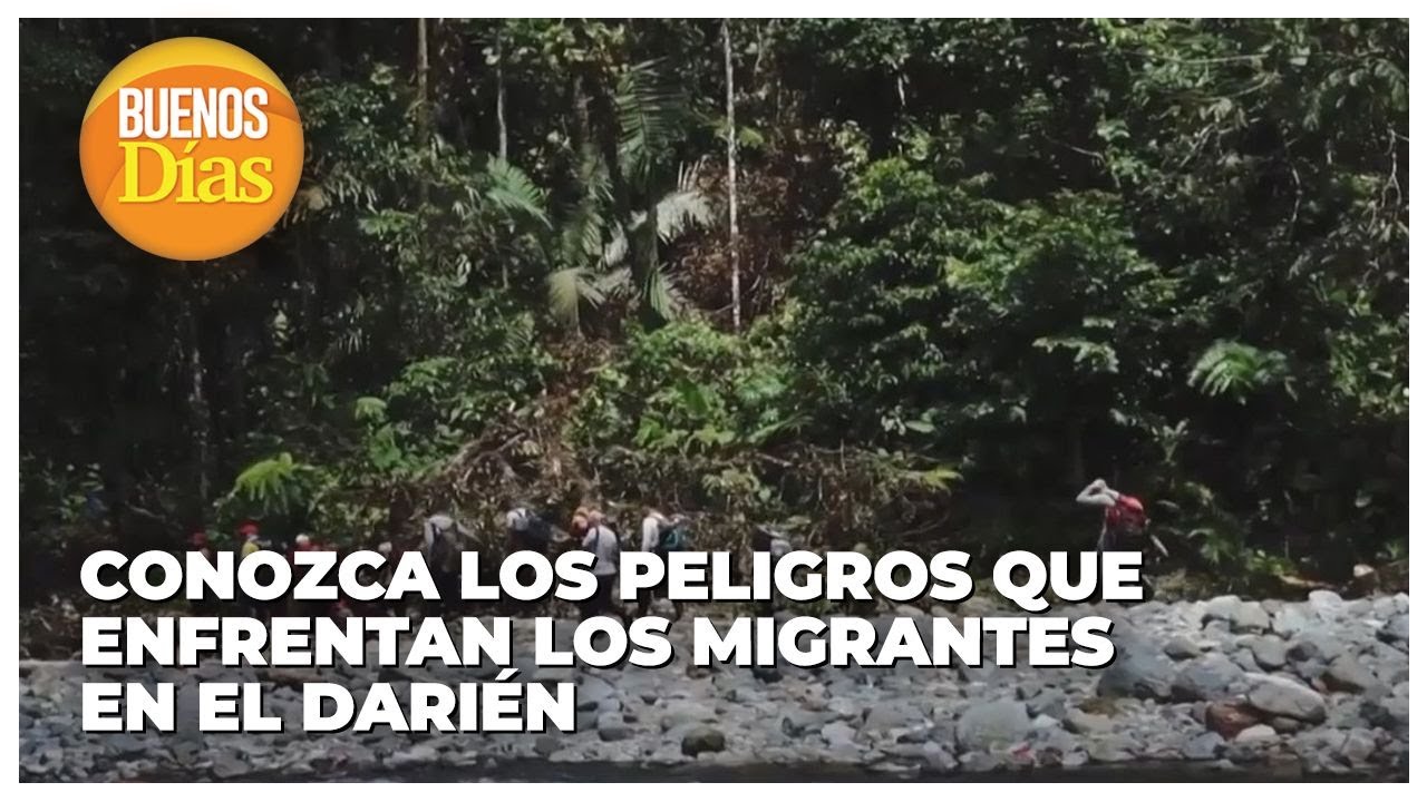 Conozca los peligros que enfrentan los migrantes en el Darién - Larissa ...